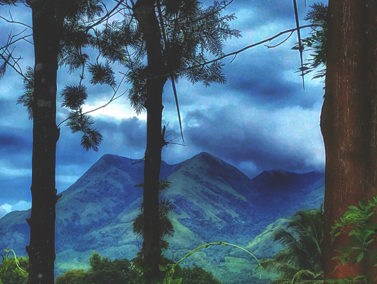 Top 10 Tourist Places in Kerala - Yatramantra Holidays